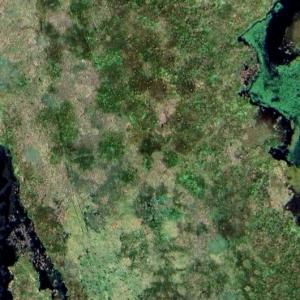 Peter Lee Island in Intracoastal City, LA - Virtual Globetrotting