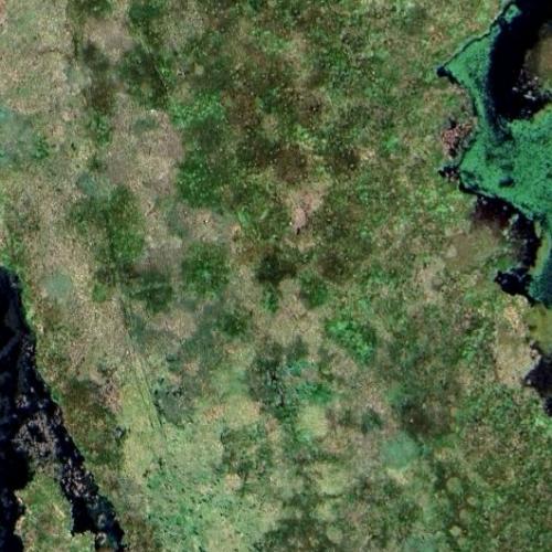 Peter Lee Island in Intracoastal City, LA (Google Maps)