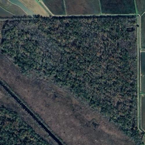 Joe Island in Intracoastal City, LA (Google Maps)