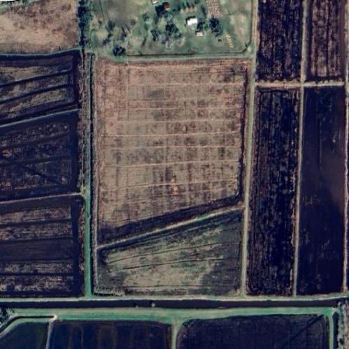 Middle Island in Intracoastal City, LA (Google Maps) (#4)