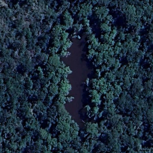 Black Lake in Kinder, LA (Google Maps) (#2)