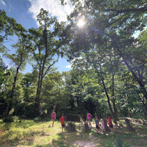 Busiek State Forest and Wildlife Area (KFF-6300) in Chestnutridge, MO ...