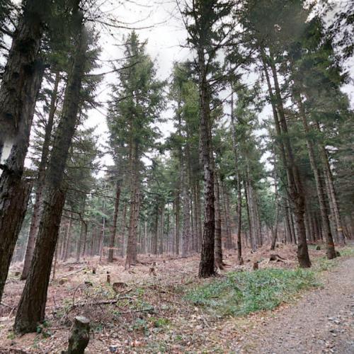 Naturpark Geschriebenstein - Írottkő (OEFF-0035) in Markt Neuhodis ...