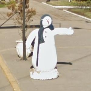 Snowman in São Joaquim Da Barra, Brazil - Virtual Globetrotting