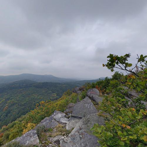 Malá Strana (OKFF-0688) in Lukov, Czech Republic (Google Maps)