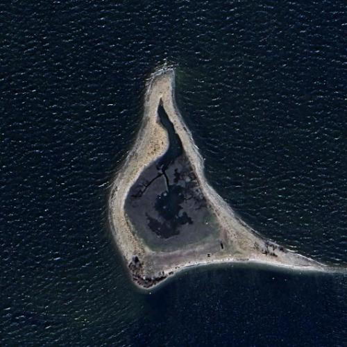 Elleore in Svogerslev, Denmark (Google Maps)