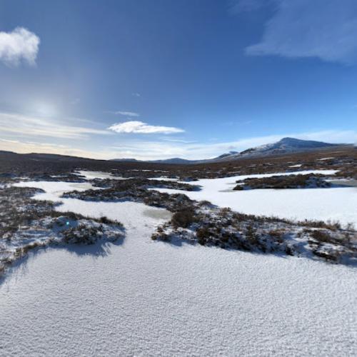 Scotland's Flow Country - July 2024 in Kinbrace, United Kingdom (Google ...