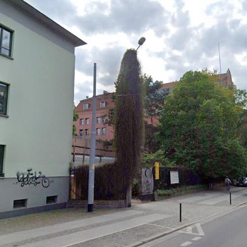 Wrocław ivy covered street light in Wroclaw, Poland (Google Maps)