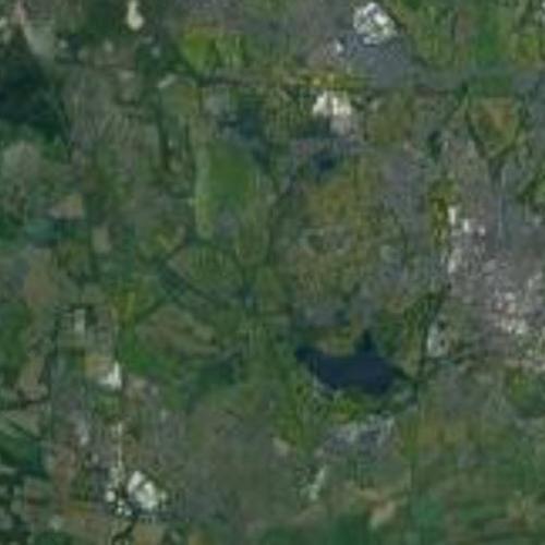 The Flashes of Wigan and Leigh National Nature Reserve (NNR) (GFF-0511 ...