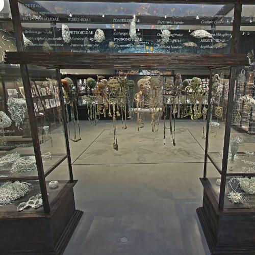 'Wrong Way Time' by Fiona Hall in Venice, Italy (Google Maps)