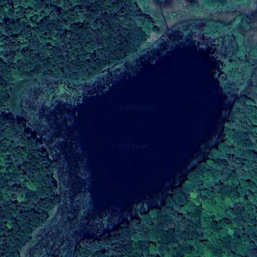 Post Lake in Bear Lake, MI (Google Maps)