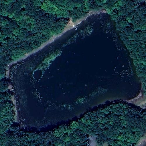 Lost Lake in Bear Lake, MI (Google Maps) (#5)