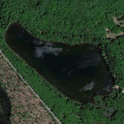 Clear Lake in Lake City, MI (Google Maps) (#4)