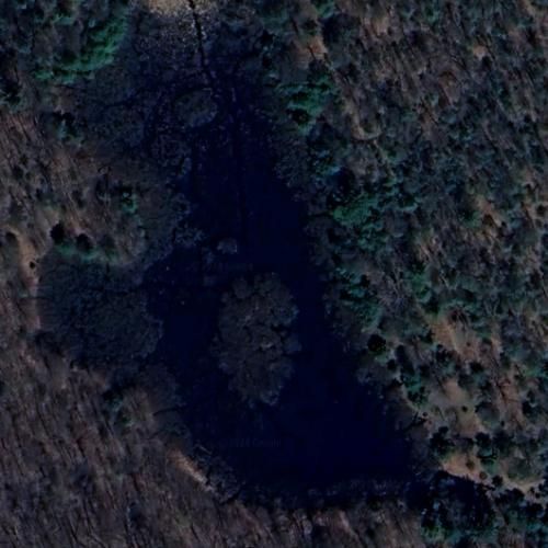 Reddy Lake in Haring Township, MI (Google Maps)