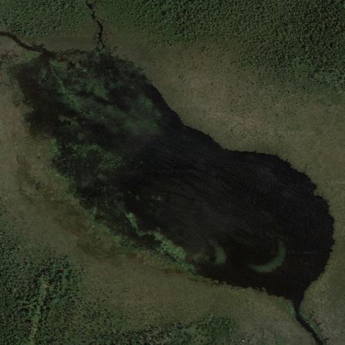 Deer Lake in Gay, MI (Google Maps) (#3)