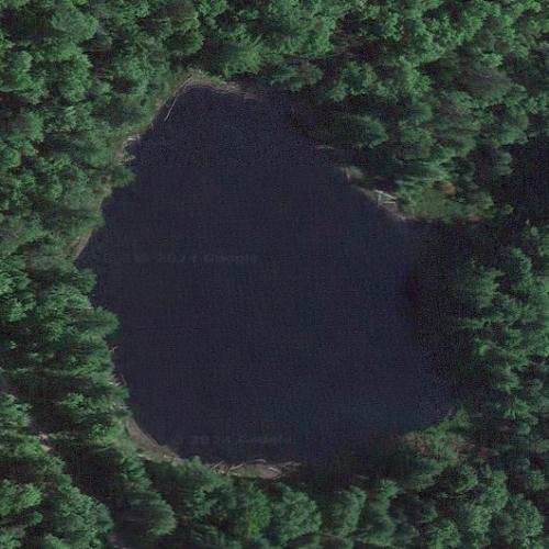 Chapman Pond in Echo Lake, MI (Google Maps)