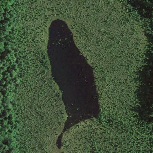 Grosse Lake in Kenton, MI (Google Maps)
