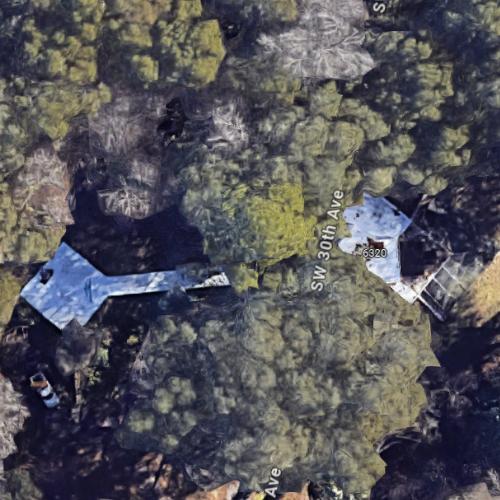 'Forest House' by William Morgan in Gainesville, FL (Google Maps)