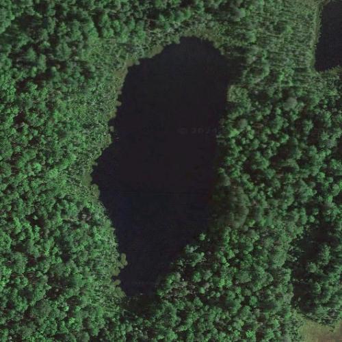 Roost Lake in Kenton, MI (Google Maps)