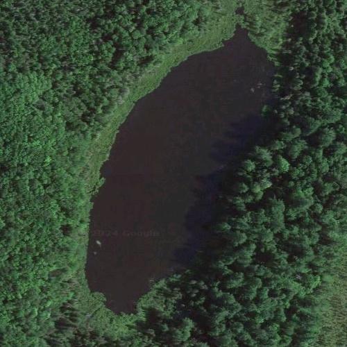 Feeder Lake in Kenton, MI (Google Maps)