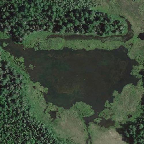 Paw Lake in Kenton, MI (Google Maps)