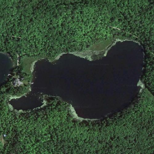 Tomassi Lake in Tamarack Lake, MI (Google Maps)