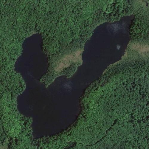 Powwow Lake in Tamarack Lake, MI (Google Maps)