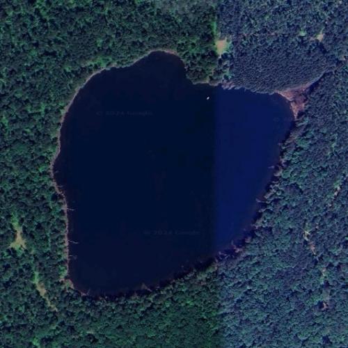 Scout Lake in Tamarack Lake, MI (Google Maps)