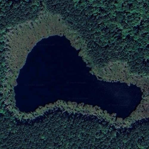 Bee Lake in Watersmeet Township, MI (Google Maps)