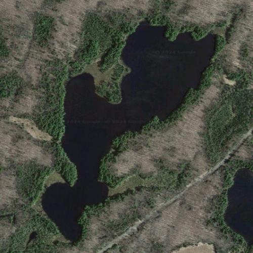 Gray Lake in Watersmeet Township, MI (Google Maps)