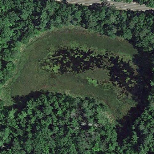 Duck Lake in Land O Lakes, WI (Google Maps) (#3)