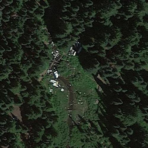 Plane crash site in Leland, WA (Bing Maps)