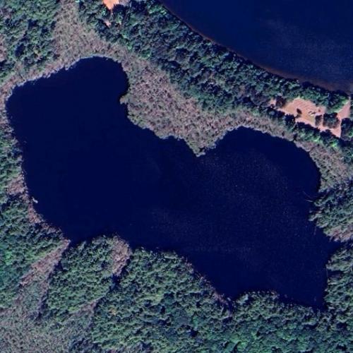 Four Ducks Lake in Three Lakes, WI (Google Maps)