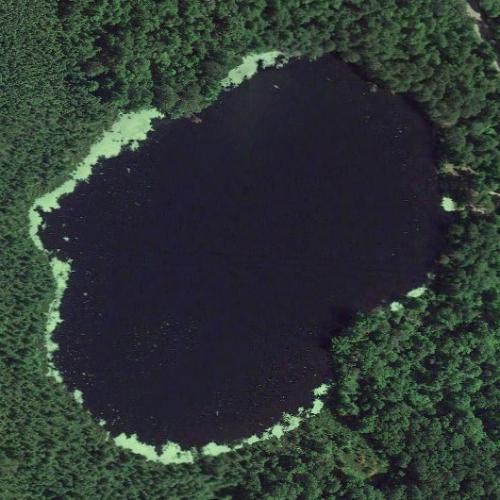 Little Gypsy Lake in Lake Tomahawk, WI (Google Maps)