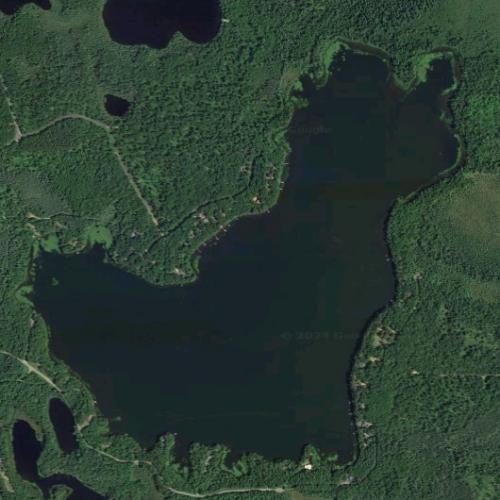 Muskellunge Lake in Lake Tomahawk, WI (Google Maps)