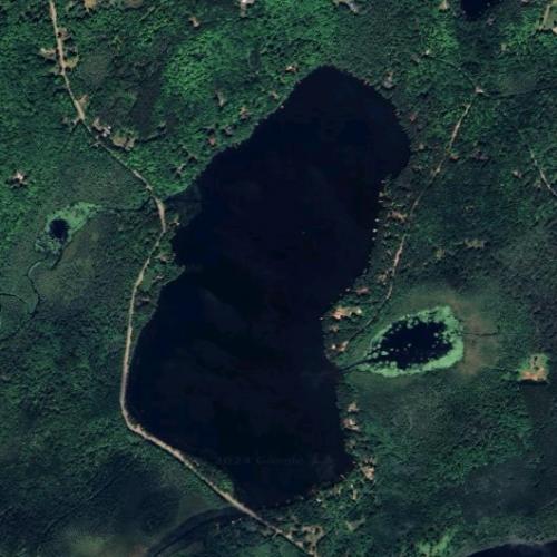 Whitefish Lake in Three Lakes, WI (Google Maps)
