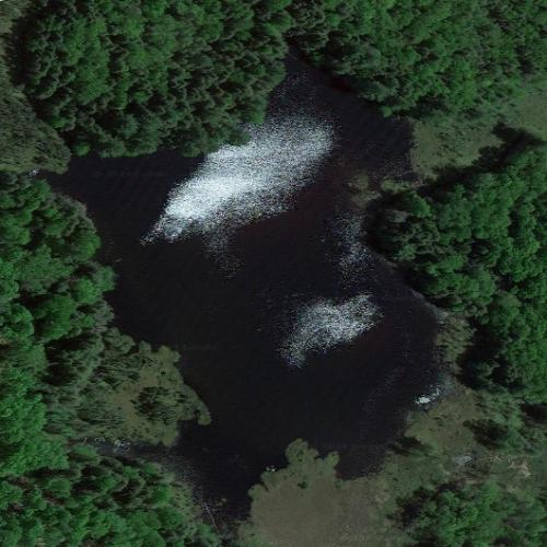 McGinnis Lake in Harrison, WI (Google Maps)