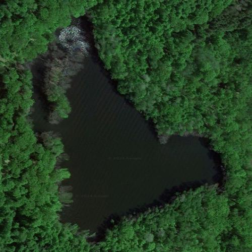 Fox Lake in Irma, WI (Google Maps)
