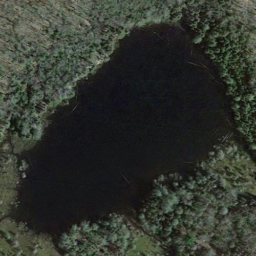Bluegill Pond in Pomeroy Lake, MI (Google Maps)