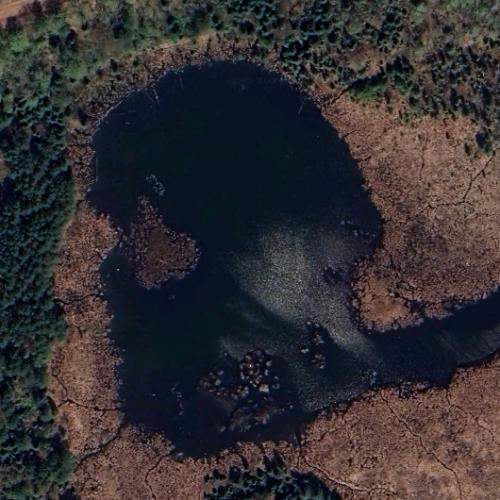Wellington Lake in Pomeroy Lake, MI (Google Maps)
