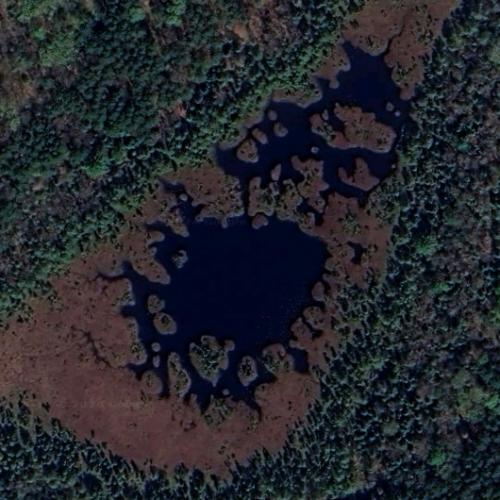 Jacksnipe Lake in Pomeroy Lake, MI (Google Maps)