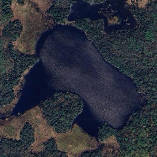 Pigeon Lake in Pomeroy Lake, MI (Google Maps)