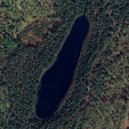 Narrow Lake in Pomeroy Lake, MI (Google Maps)
