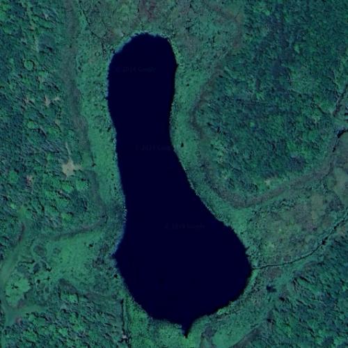 Bear Lake in Glennie, MI (Google Maps) (#6)