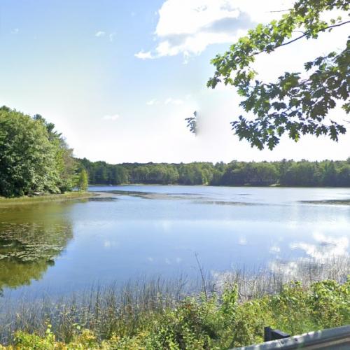 Indian Lake in Acme, MI (Google Maps) (#4)