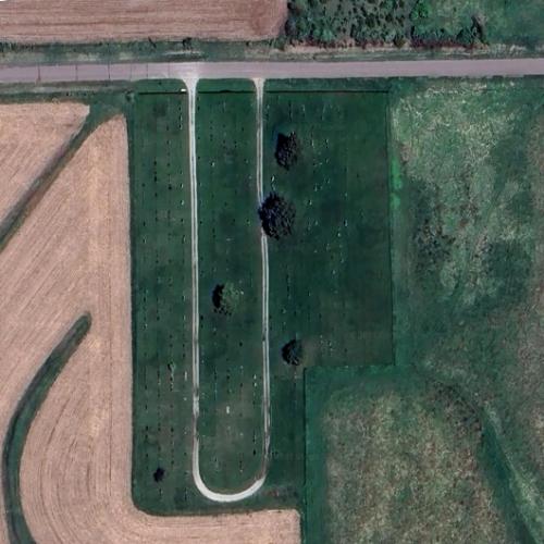 Swan Cemetery in Swan, IA (Google Maps)