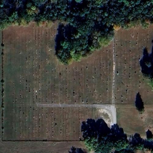 Edwards Cemetery in Oakville, IA (Google Maps)