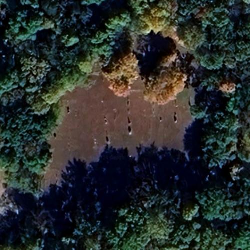 Dolbee Cemetery in Oakville, IA (Google Maps)