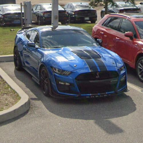 Ford Mustang Shelby GT500 in Jacksonville in Jacksonville, FL (Google Maps)