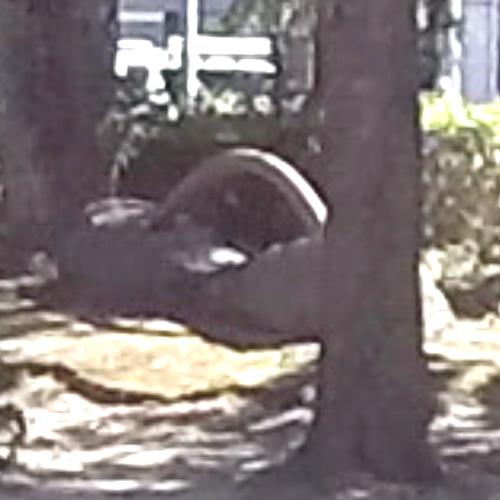 'Straddling Parabola' by Nomizu Shin in Nagoya, Japan - Virtual ...